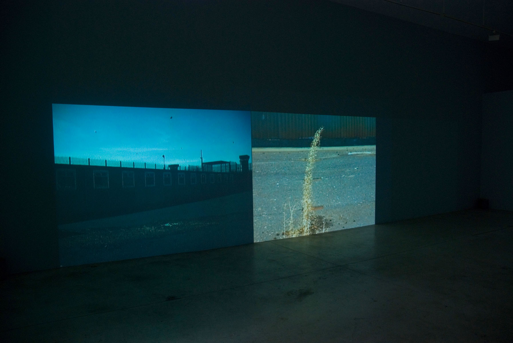 Spencer Brownstone Gallery | Seamus Harahan